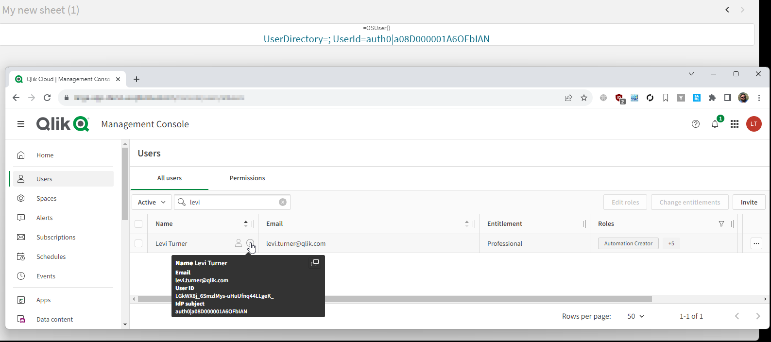 Solved: display the USER.EMAIL in App - Qlik Community - 2102209