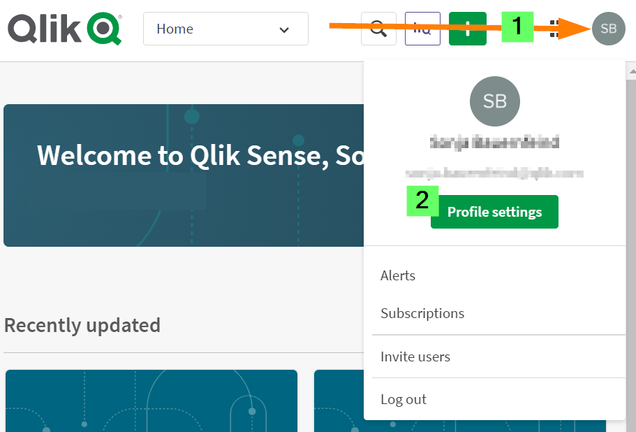 How to Access My Qlik Portal - Qlik Community - 1710943