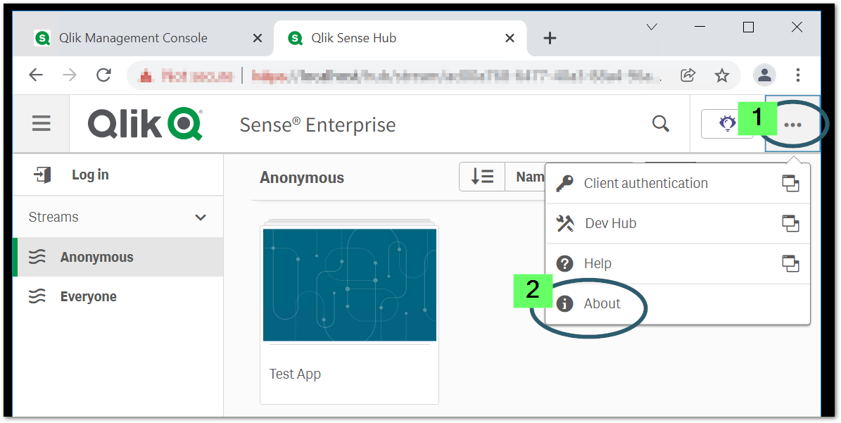 RequireJS for each Qlik Sense Enterprise on Window... - Qlik Community ...